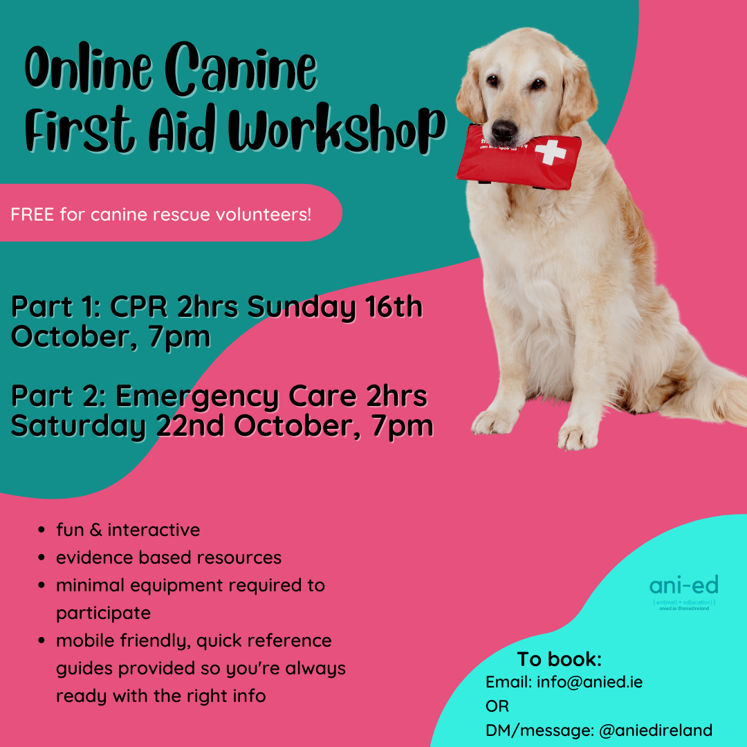 Even more Online Canine First Aid Workshops! | AniEd Ireland